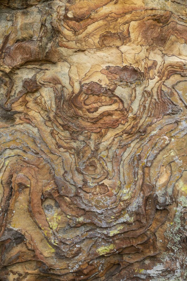 Sandstone Rock Texture stock photo. Image of macro, brown - 125231202