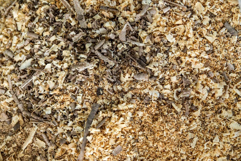 Closeup of Saw Dust or Rough Wooden Chips Stock Photo - Image of yellow ...
