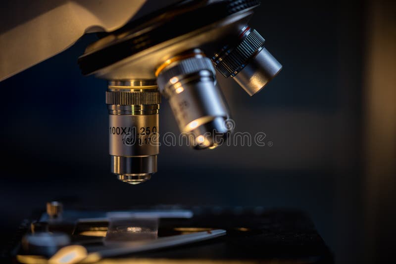 Scientific Microscope Data Analysis in the Laboratory Stock Photo ...