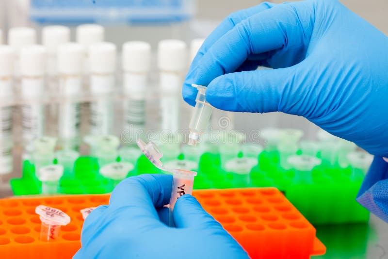 Closeup Of Scientist Hands While Extracting Dna Using The Spin Column Based Nucleic Acid