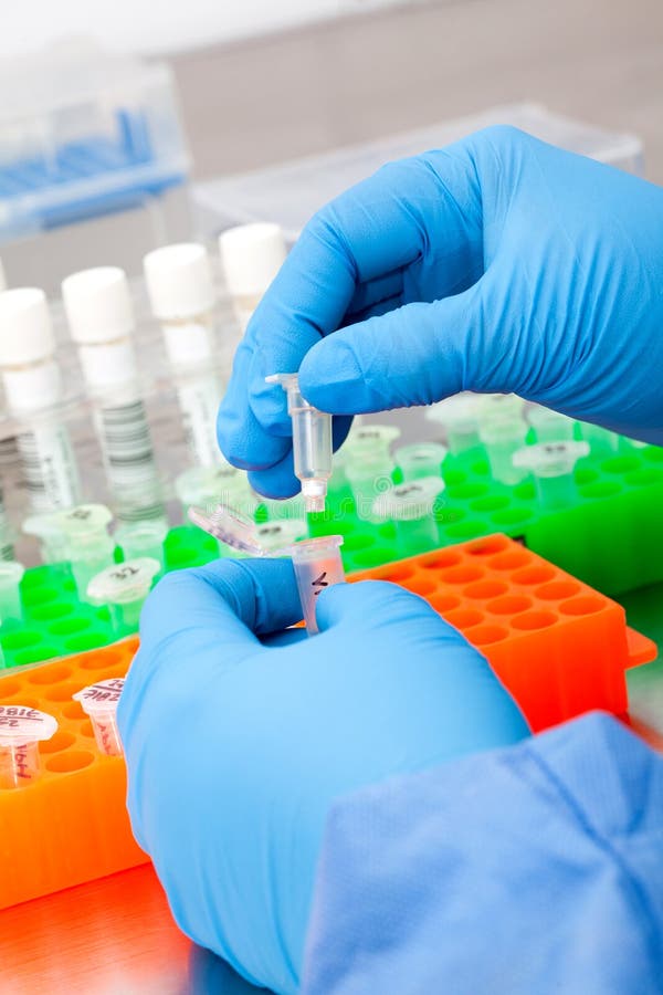 195 Nucleic Acid Technology Stock Photos - Free & Royalty-Free Stock ...