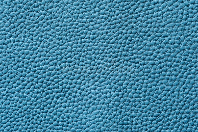 744 Pigskin Texture Stock Photos - Free & Royalty-Free Stock Photos ...