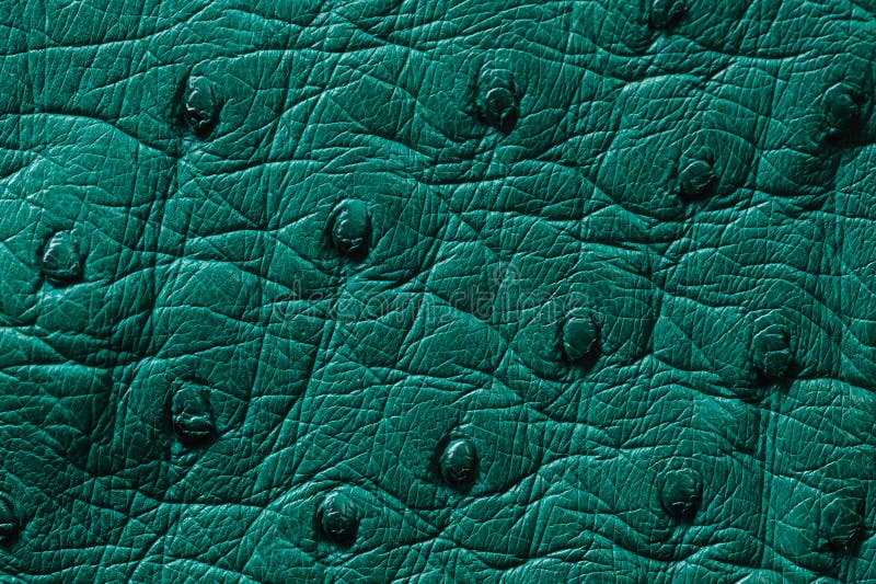 Closeup of Seamless Green Leather Texture Stock Image - Image of coarse ...