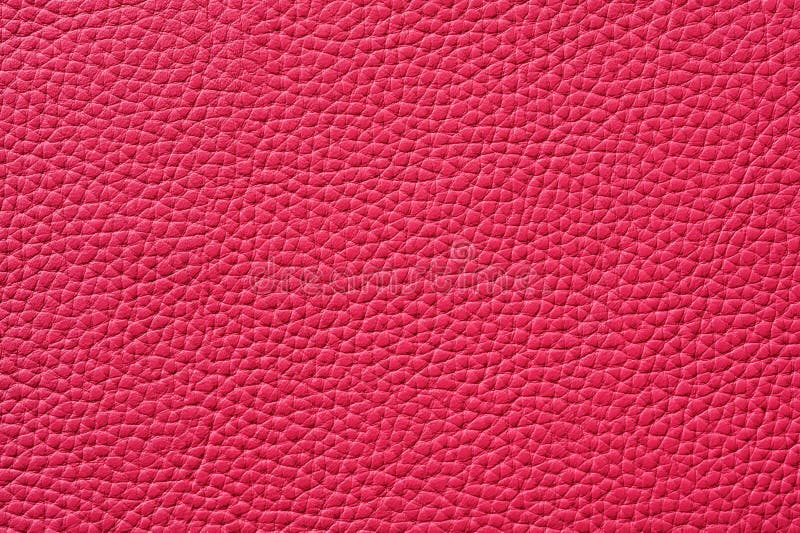 744 Pigskin Texture Stock Photos - Free & Royalty-Free Stock Photos ...