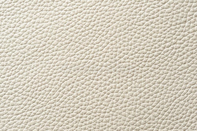 744 Pigskin Texture Stock Photos - Free & Royalty-Free Stock Photos ...