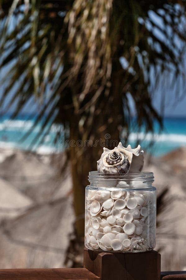 Closeup of Seashells in a Clear Glass Jar at the Beach Stock Image ...