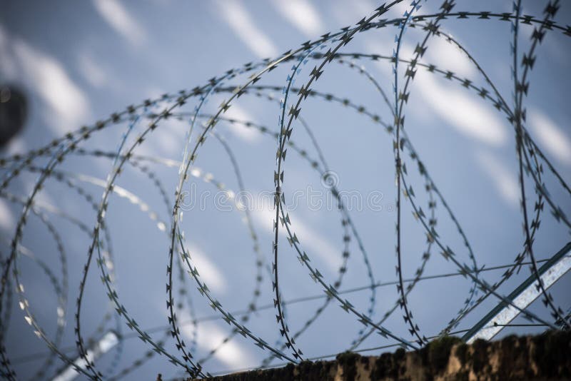 Security Barbed Wire on the Wall Stock Image - Image of military, line ...