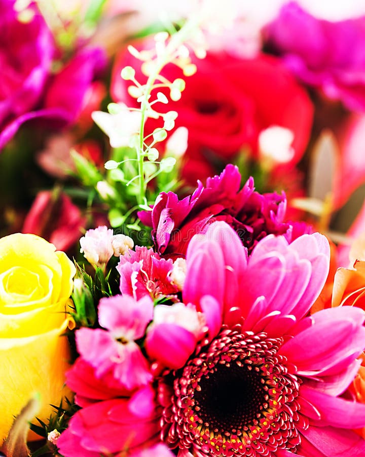 A Selection of Beautiful Hand Made Chocolates. Stock Photo - Image of ...