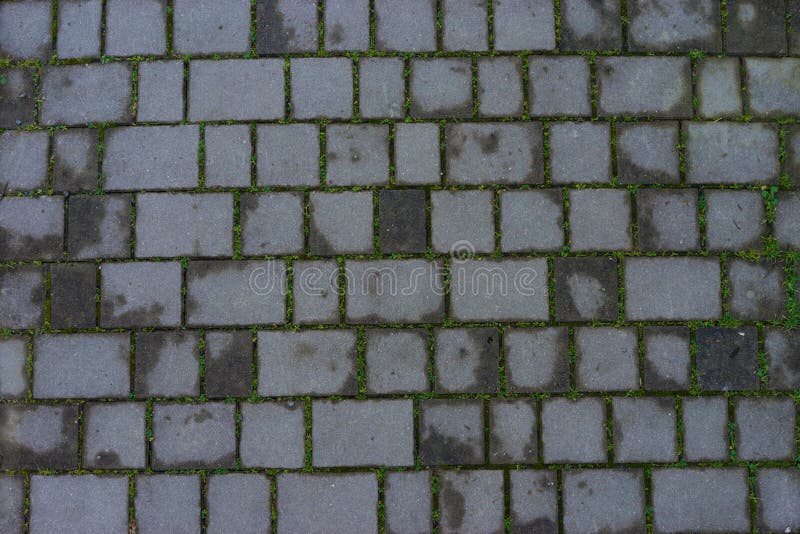 Closeup of a Sett on a Paving Road Stock Image - Image of stone ...