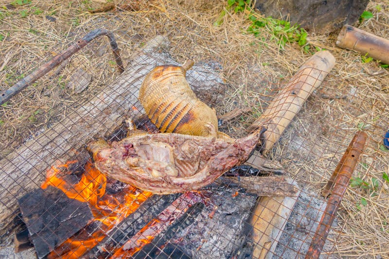 Armadillo skin closeup stock photo. Image of material - 83777734