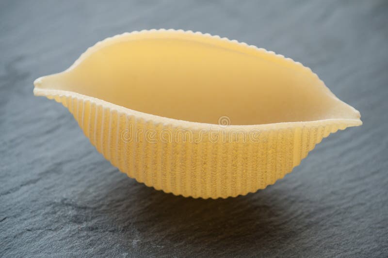 Shaped Seashell Pasta on Chalkboard Background Stock Photo - Image of ...