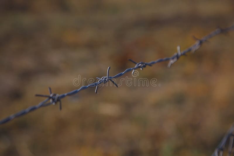 Closeup of a Sharp Barbed Wire Twist Stock Photo - Image of object ...