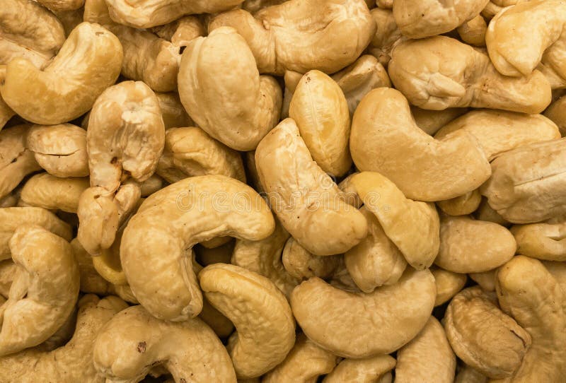 Shelled cashew nuts stock photo. Image of grocery, natural - 209319598