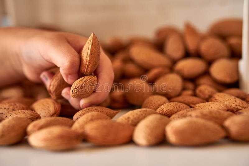 Closeup Shot of Almond Nuts on Human Hand. Stock Image - Image of hand ...