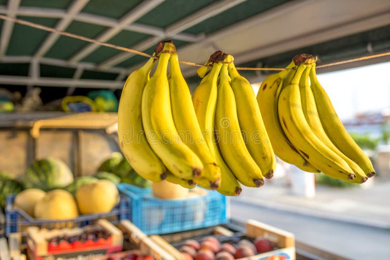 398 Bananas Hanging Market Stock Photos - Free & Royalty-Free Stock ...