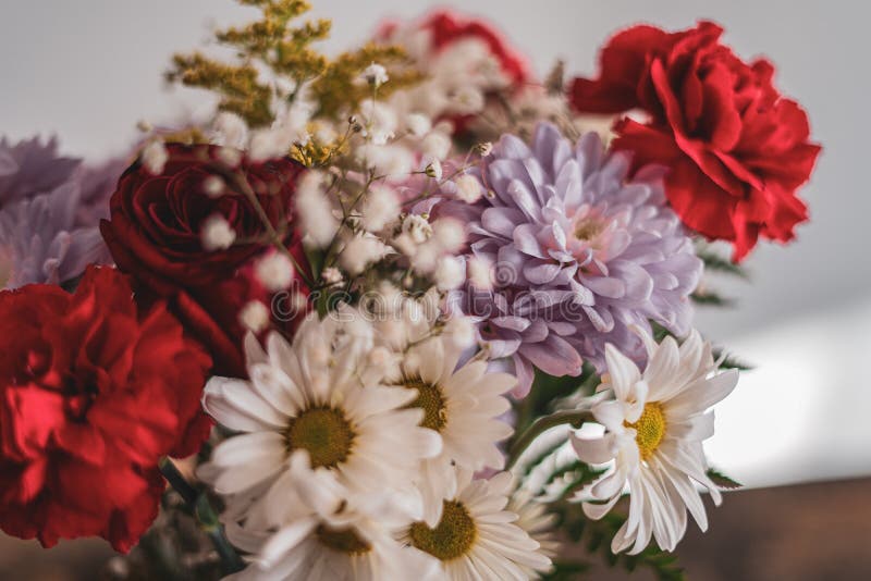 Closeup Shot of a Beautiful Flower Composition with Different Flowers ...