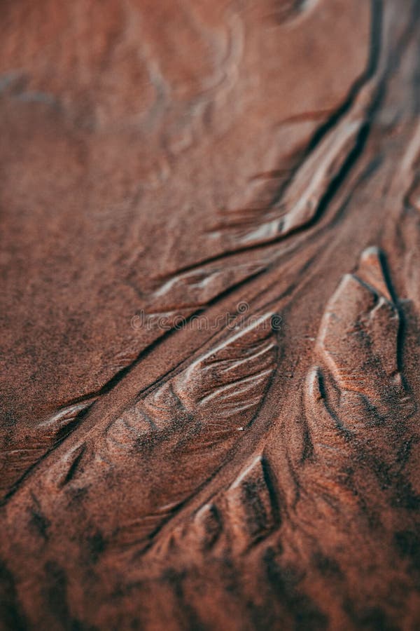 Closeup Shot of Branch Patterns on Sandy Ground Stock Photo - Image of ...