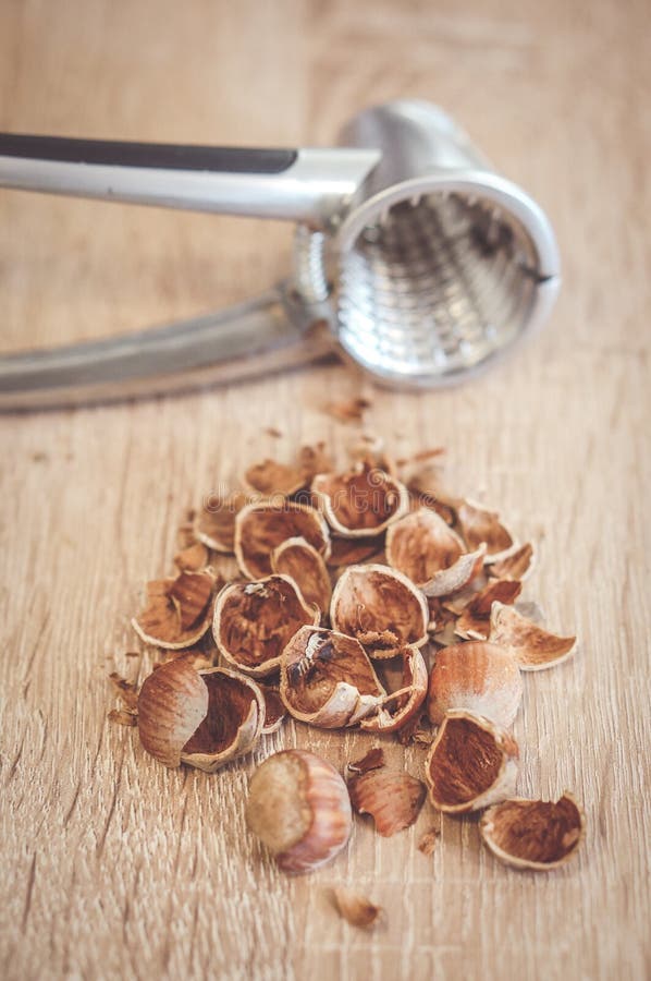 Closeup Shot of Broken Hazelnut Nut Shells on a Table with a Nut ...