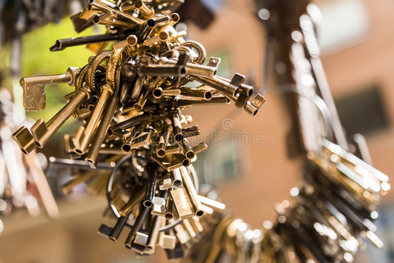 Bunch of Golden Shower Flowers in Tree Stock Photo - Image of national ...