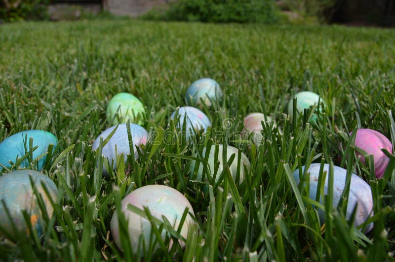 Bunnyegg Stock Photos - Free & Royalty-Free Stock Photos from Dreamstime