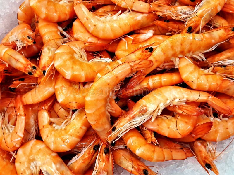 Closeup Shot of a Bunch of Royal Red Shrimp Stock Photo - Image of ...