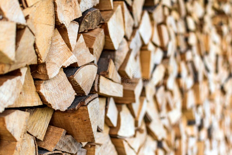 Closeup Shot of Chopped Log Stacks Stock Image - Image of nature, tree ...