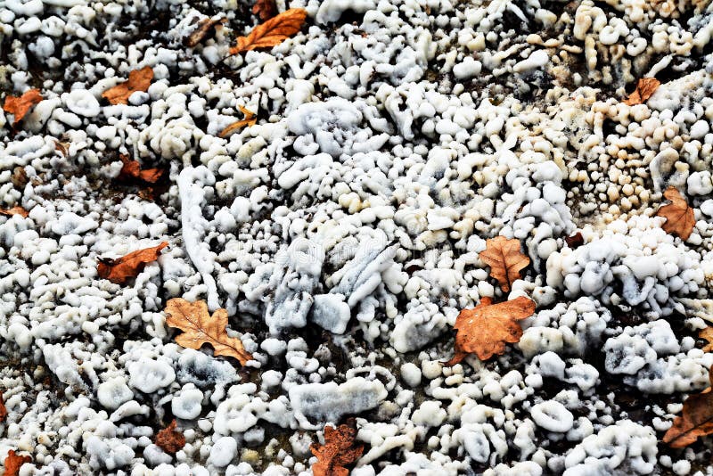 Closeup Shot of Crystallized Salt on the Ground Stock Image - Image of ...