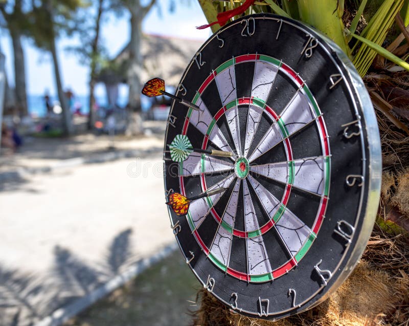 Closeup Shot of Darts on a Palm Tree in the Beach Stock Image - Image ...