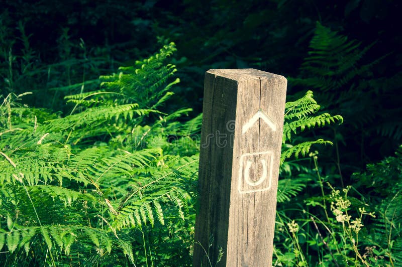 Closeup Shot of Equestrian Trail Marker in the Log in a Forest Stock ...