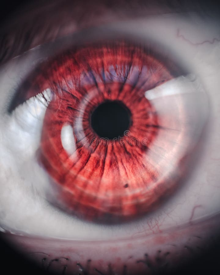 Closeup Shot of an Expressive Red Eye Stock Image - Image of hair ...