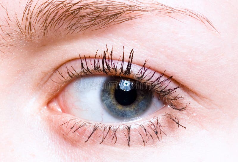 Closeup shot of eye stock image. Image of thinking, watch - 4679487