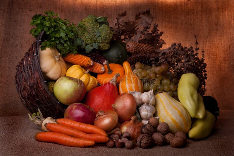 Fall Cornucopia on a White Back Ground Stock Photo - Image of autumn ...