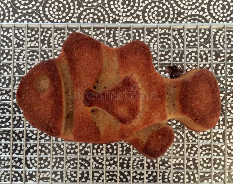 Closeup Shot of a Fish-shaped Biscuit Stock Image - Image of delicious ...