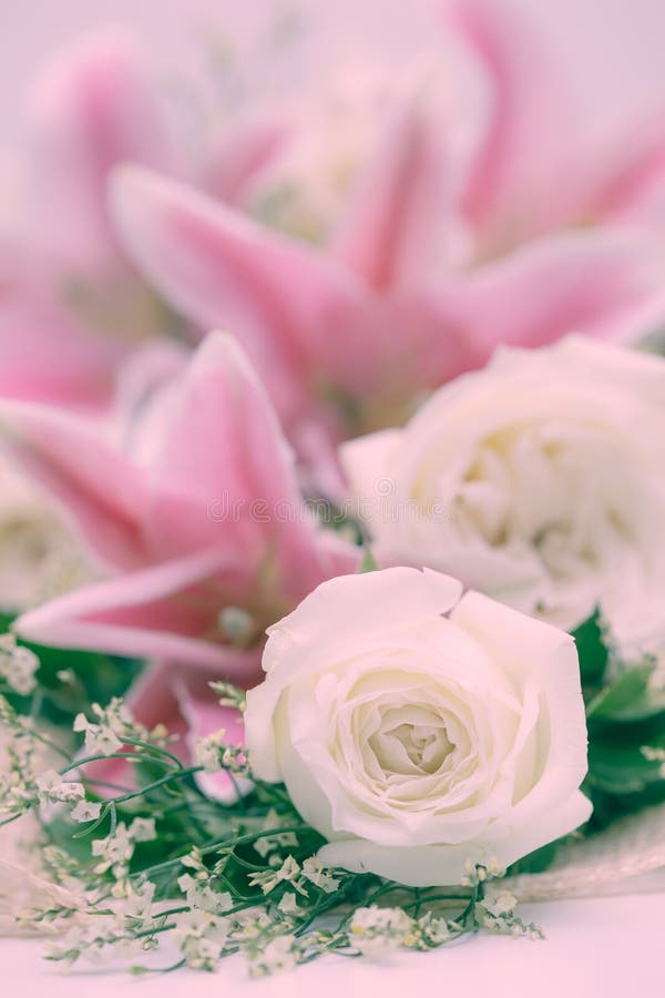 Closeup Shot of Fresh Rose and Processed in Vintage Style Stock Image ...