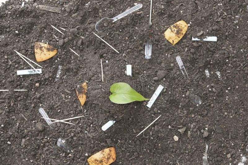 Closeup Shot of Garbage on the Soil Stock Image - Image of gardening ...