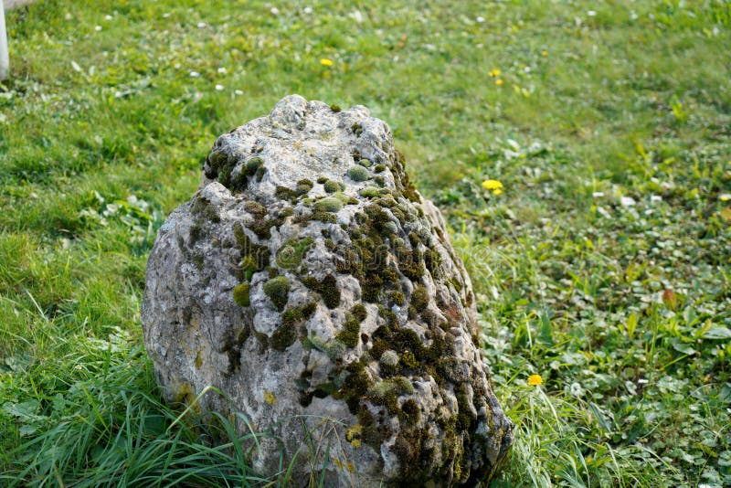 Closeup Shot of Granite Rocks Covered with Moss in a Park Stock Image ...