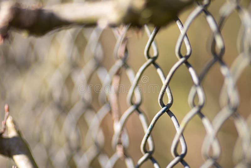 Closeup Shot of a Gray Chain-link Fence with a Blurred Background Stock ...