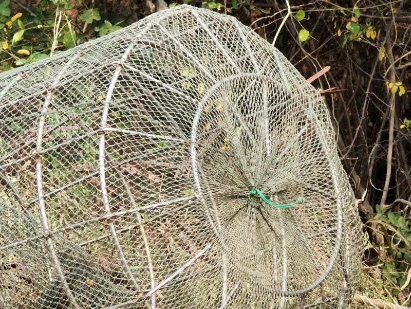 Closeup Shot of a Green Net and Metal Grid of Water Pump Stock Photo ...