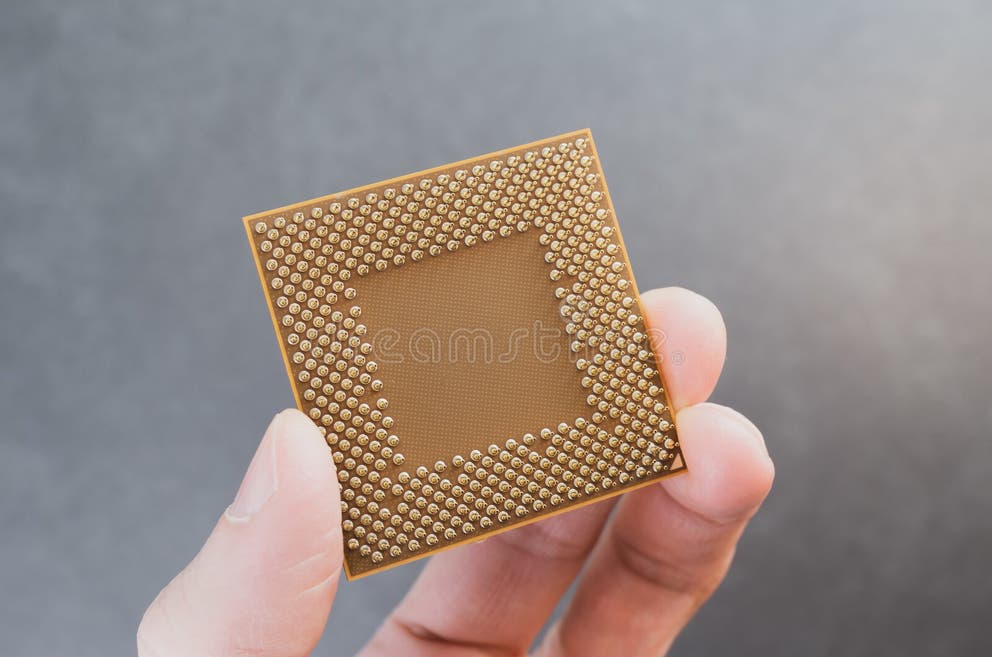 Closeup Shot of a Hand Holding Microprocessor Stock Photo - Image of ...