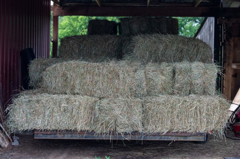 Closeup Shot of Haystack on the Barn for the Livestock Stock Image ...