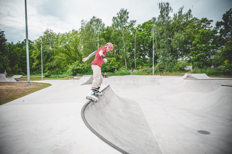 196 Inline Trees Stock Photos - Free & Royalty-Free Stock Photos from ...