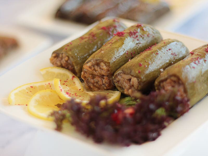 Kousa Eggplant Mahshi Stock Photos - Free & Royalty-Free Stock Photos ...