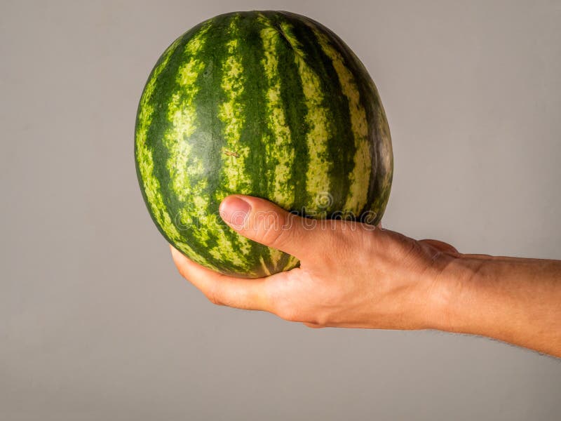 Closeup Shot of Male Hand Holding a Watermelon Stock Photo - Image of ...