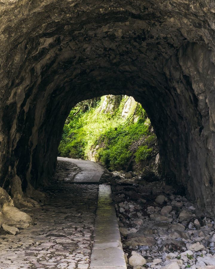 Closeup Shot of a Natural Arched Walkway Stock Photo - Image of path ...