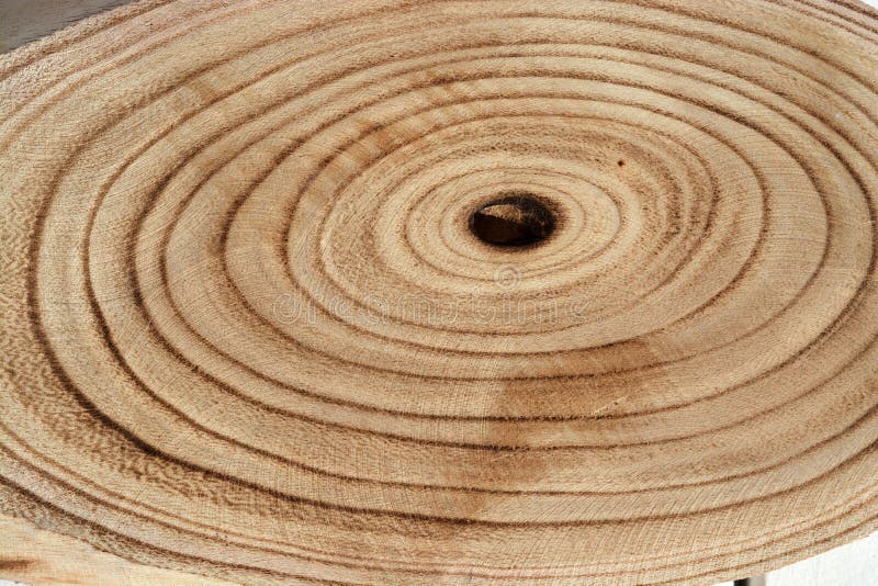 Closeup Shot of Natural Rings on a Cut Log - Suitable for Natural ...