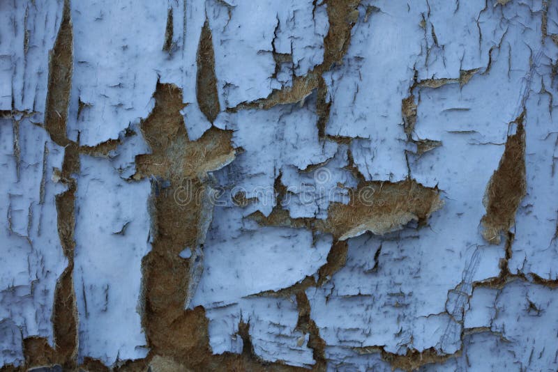 Closeup Shot Old Blue Damaged Wooden Door Texture Stock Photos - Free ...