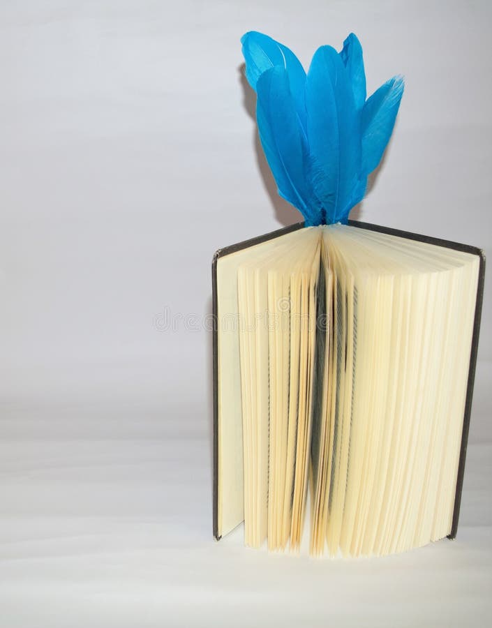 Closeup Shot of an Open Book with Blue Feathers Stock Image - Image of ...