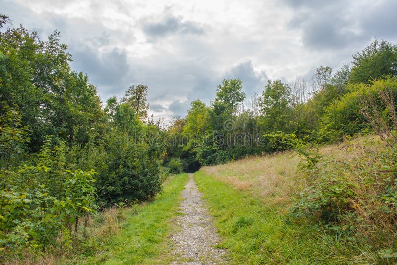 Closeup Shot of a Path in a Field with Trees Stock Photo - Image of ...