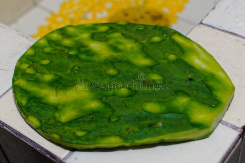 Closeup Shot of a Peeled Nopal Cactus Pad on a Kitchen Counter Stock ...