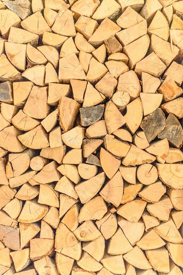 Closeup Shot of a Pile of Big Cut Trees Stock Image - Image of natural ...